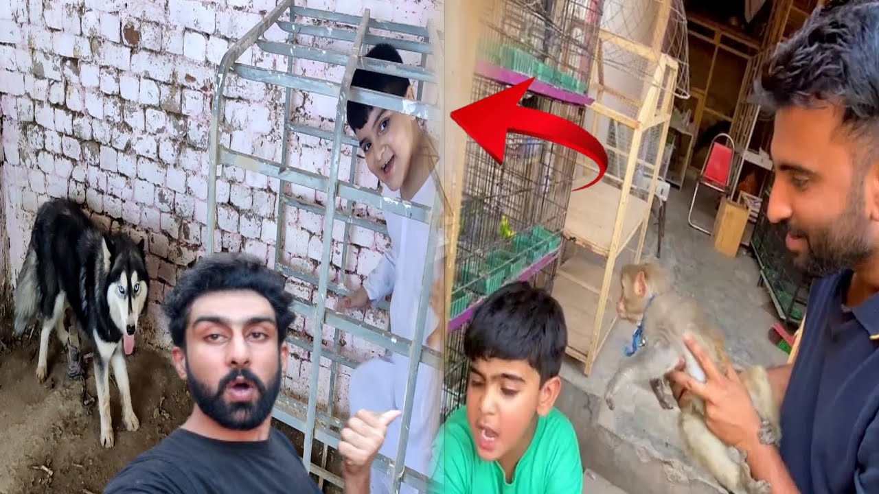 Fiona Sy mil Ny Shayan A Gia😍 - YouTube