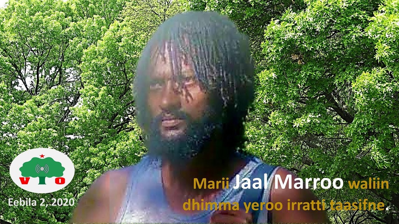 Marii Jaal Marroo – Ajajaa WBO Zoonii Lixaa – waliin, dhimma yeroo ...