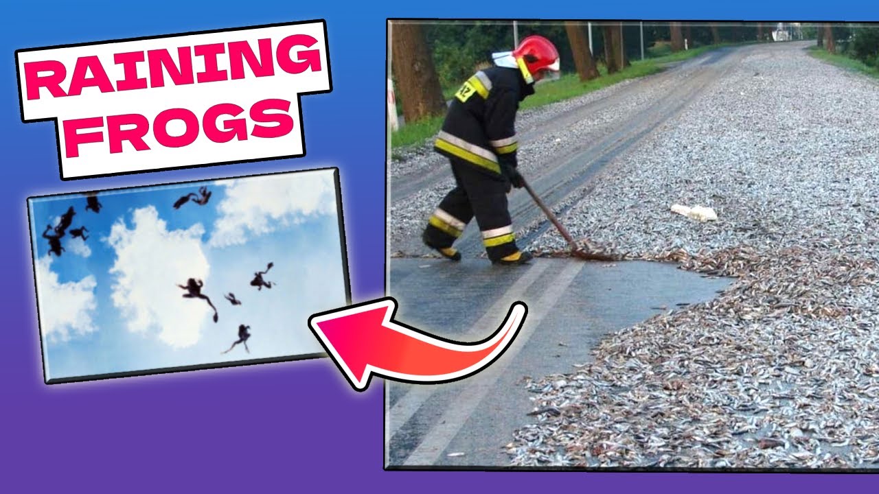 FROGS FALLING FROM THE SKY?! Mind-Blowing Phenomenon | Nature Facts ...