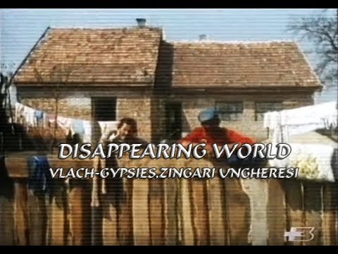 Disappearing World - Vlach-Gypsies, zingari ungheresi " - YouTube