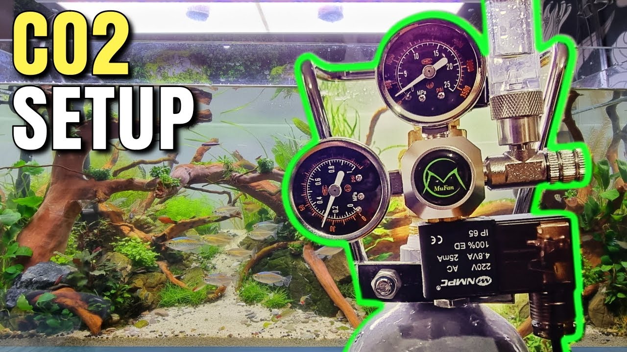 CO2 Kit Set Up And Components | Quick Tutorial - YouTube