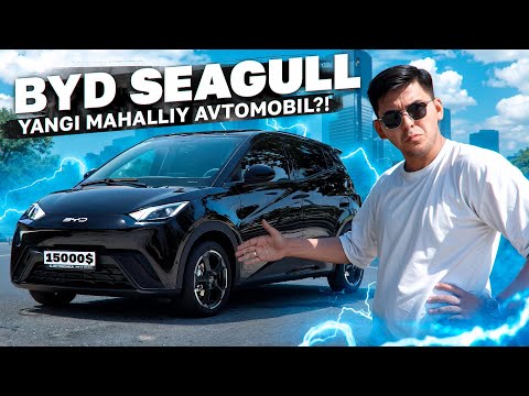 Bu mittivoyni O'zbekistonda ishlab chiqarishmoqchi! / BYD Seagull / Avtoelon.uz