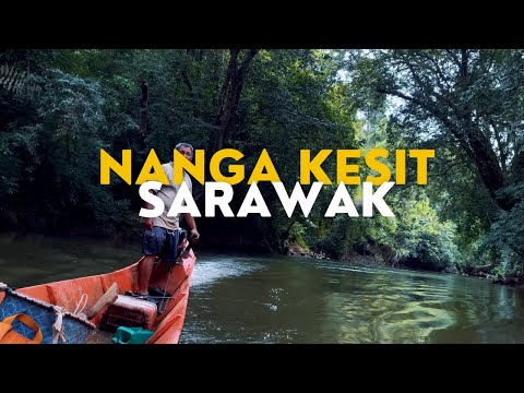 RareGEMS I Nanga Kesit, Sarawak