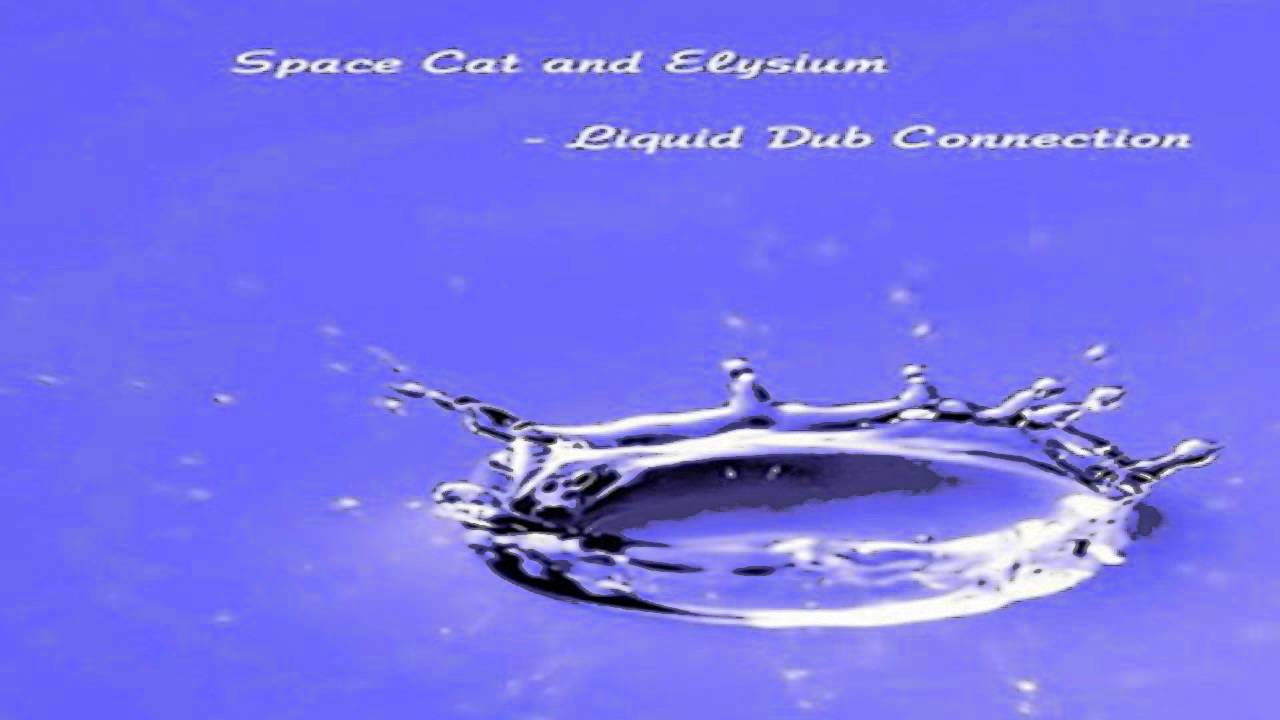 Space Cat and Elysium - Liquid Dub Connection - YouTube