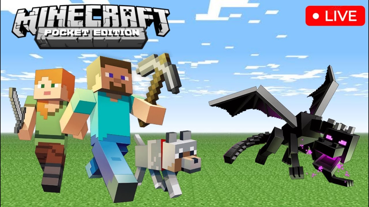 i play minecraft in pocket edition live - YouTube