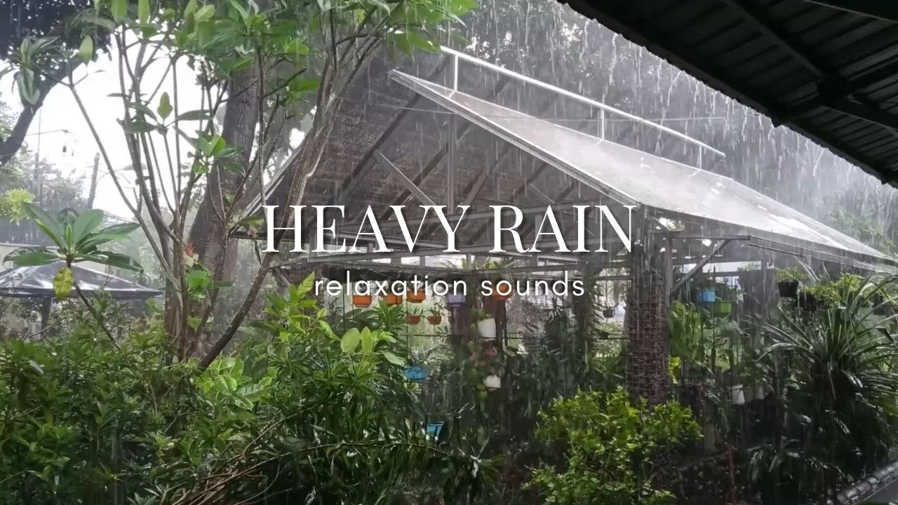 🔴 Heavy Rain dan Thunderstorm For Sleeping - Rainy Season in Indonesia ...