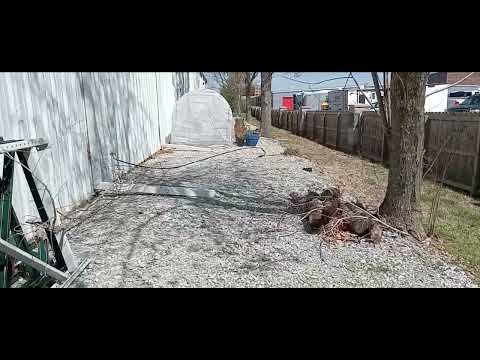 Long walk to work - YouTube