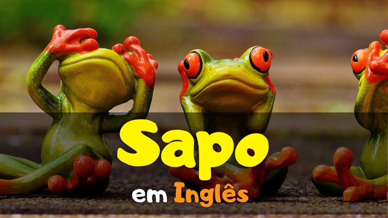 🐸 Como dizer SAPO em Inglês #frog - YouTube