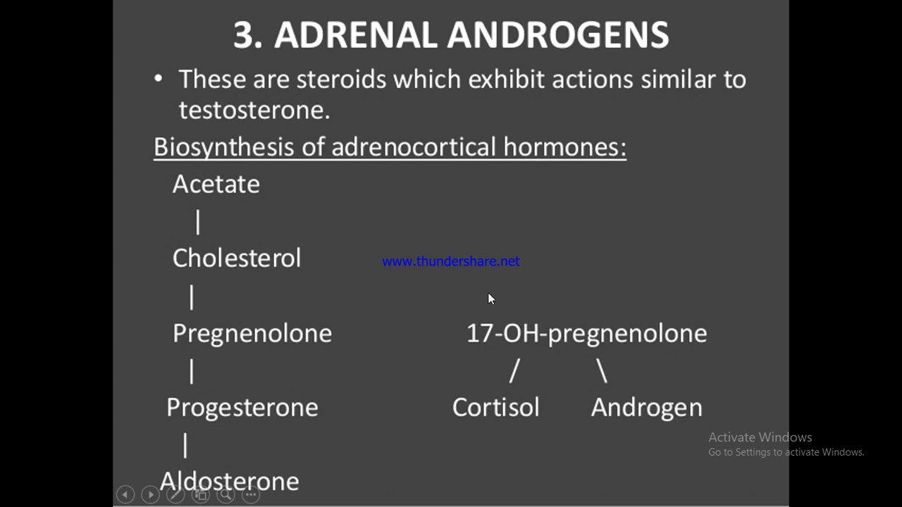2nd yr endocrinology of androgens by dr tehmina biochemistry FMU ...