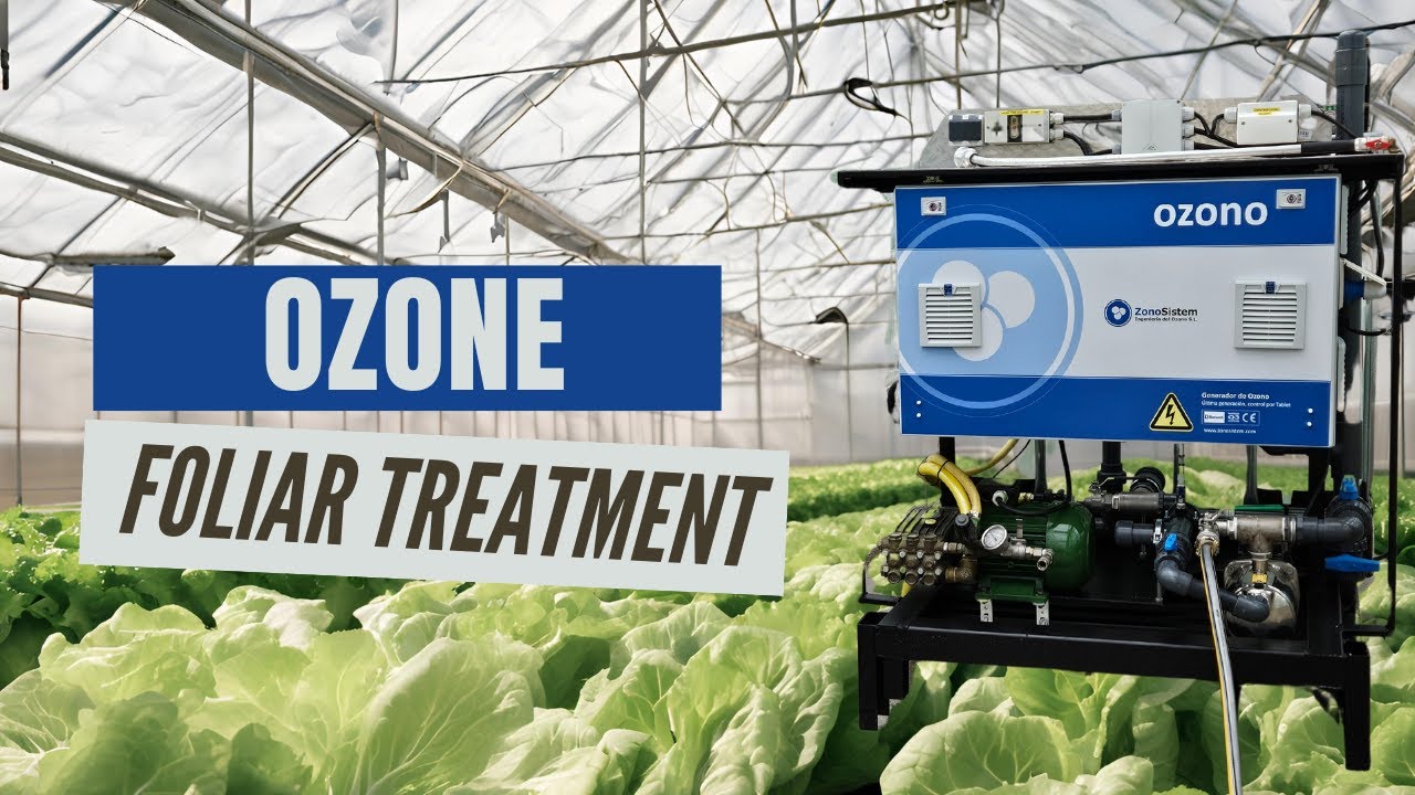 Benefits of Ozone in Foliar Treatment for Agriculture | Ozone Insights ...