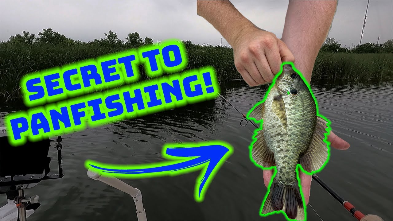 How to CATCH panfish! | BOBBER fishing | - YouTube