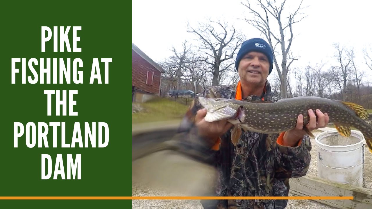 Winter Pike Fishing at The Portland Dam / Grand River Michigan Pike ...