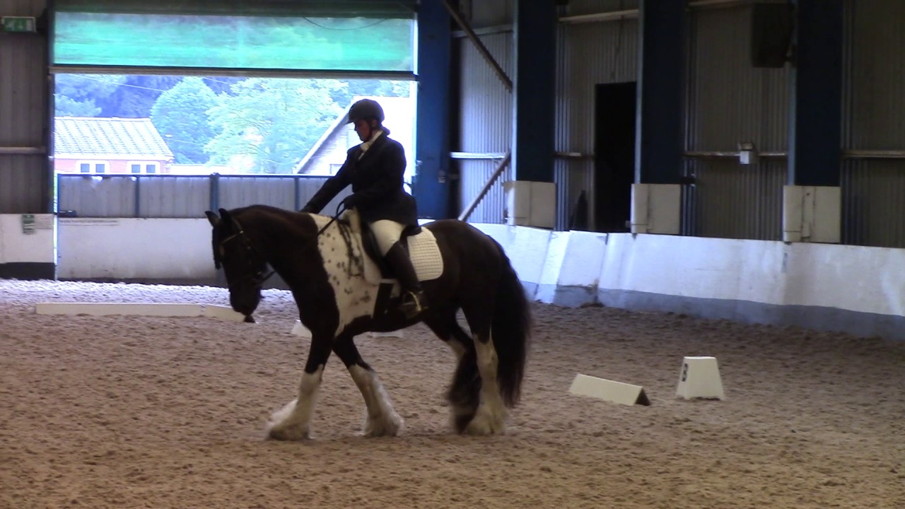 Intro C Denise and Dyson at Rodbaston Equestrian Centre, 74.13% - YouTube