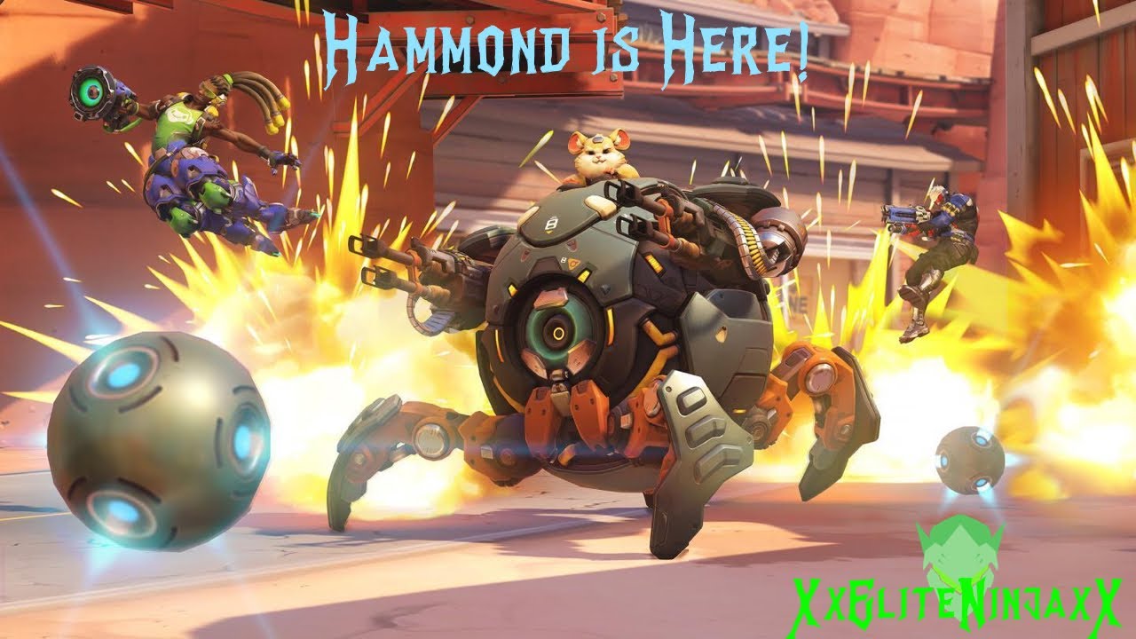 HAMMOND THE HAMSTER!? (Overwatch) - YouTube