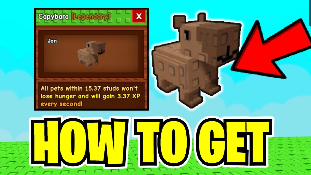 How To GET CAPYBARA & SHOWCASE In GROW A GARDEN! (FULL GUIDE) ROBLOX ...