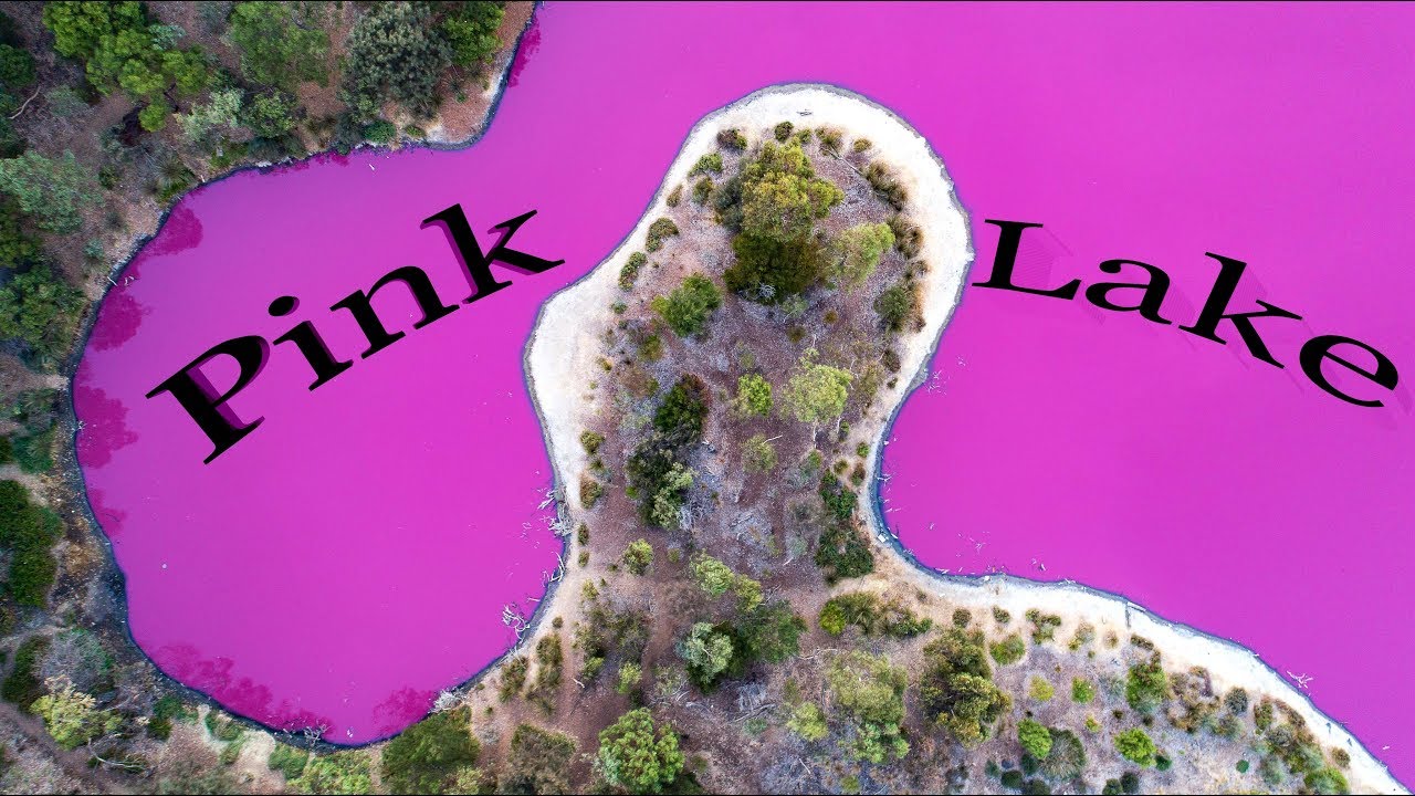 THE PINK LAKE 2019 (Melbourne, Westgate Park) - YouTube