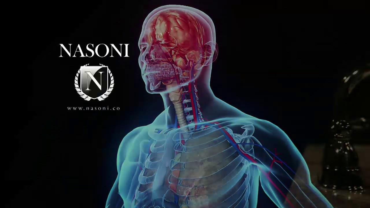 Nasoni The NASONI v5 New Audio H264 MOV HD 1280x720 - YouTube