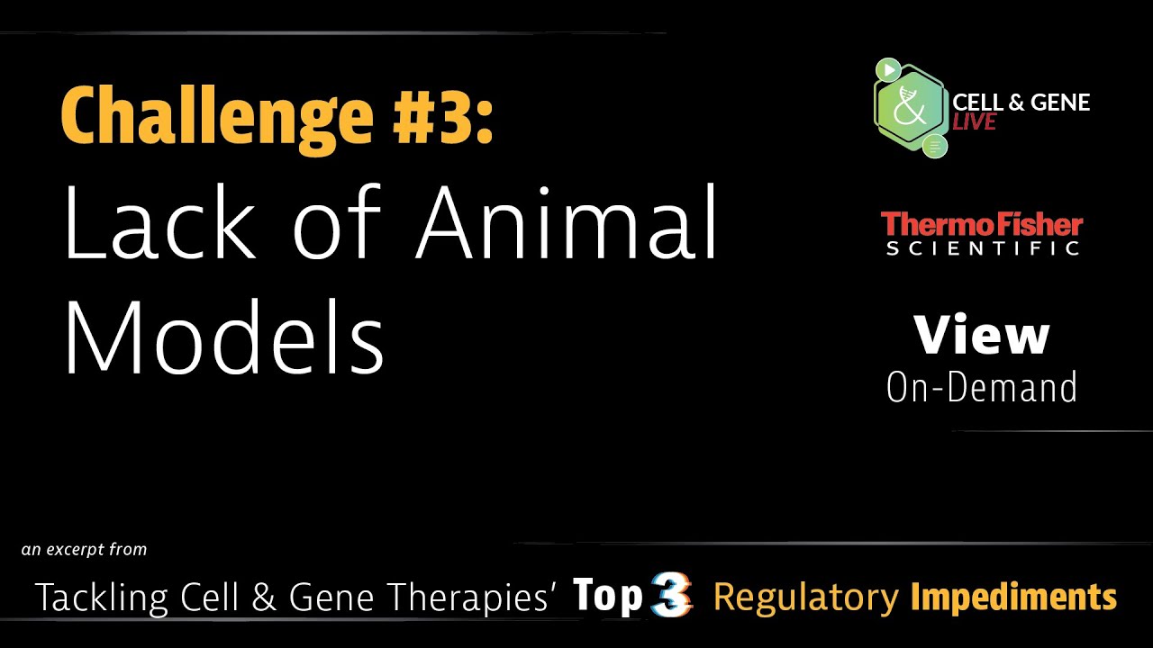 Challenge #3: Lack of Animal Models - YouTube