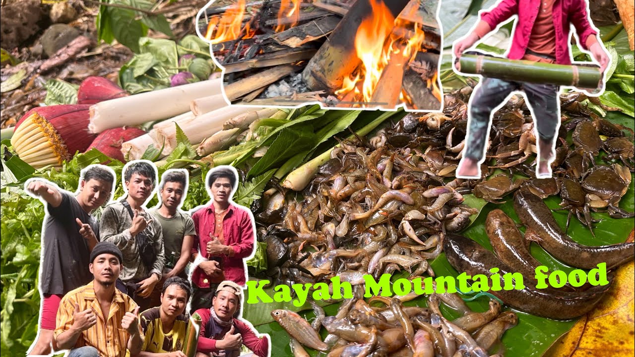 Kayah phu mountain food hunting - YouTube
