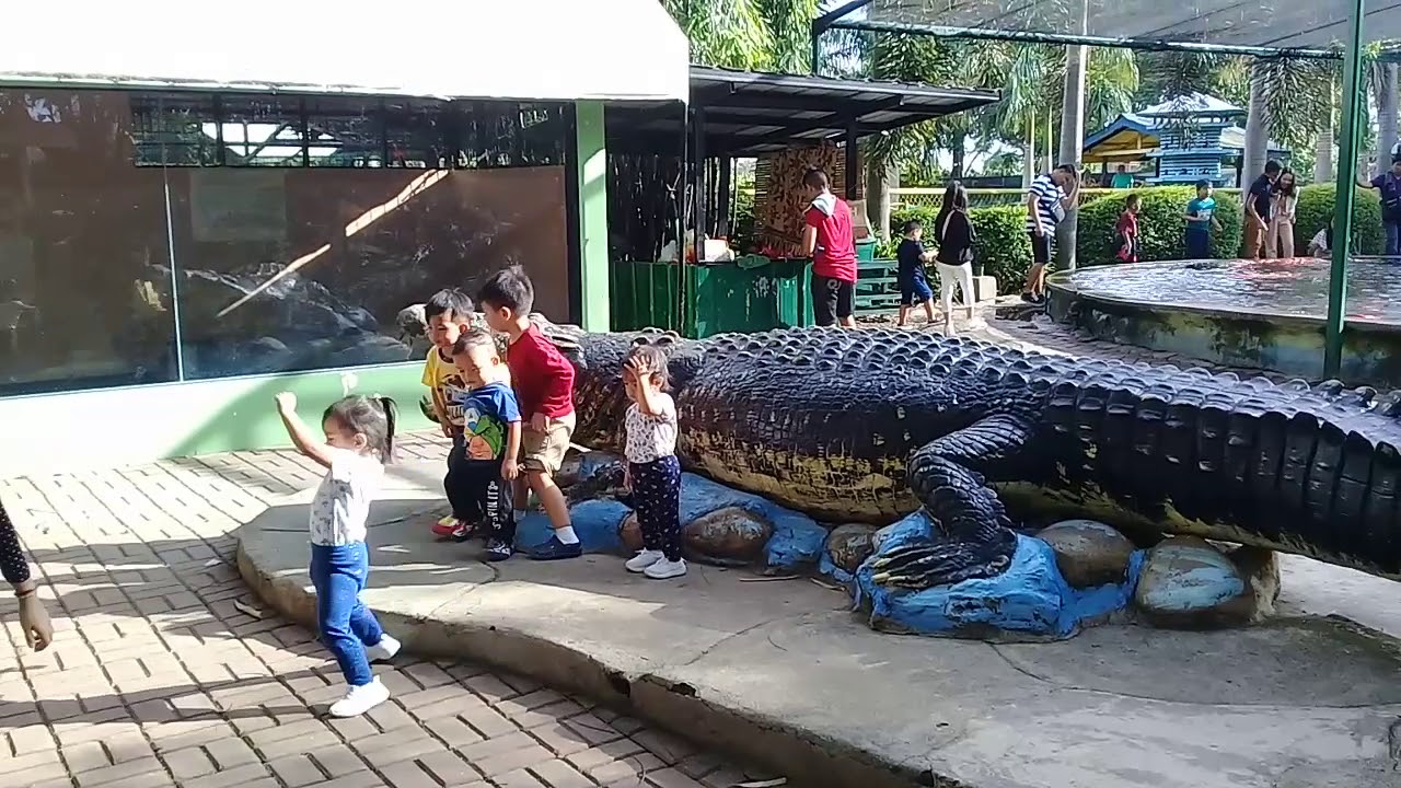 Davao Crocodile Park & Zoo, Davao City - YouTube