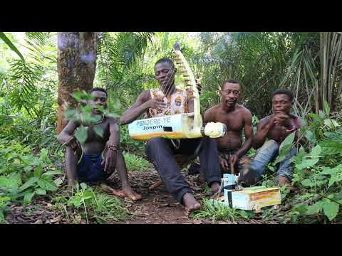 Jospin Pendere-Ye Song with Aka Pygmies
