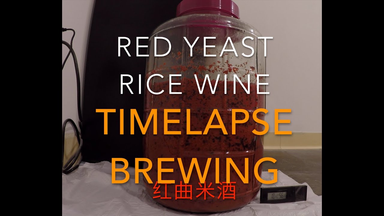 TIMELAPSE BREWING 红曲米酒 Red yeast rice wine - YouTube