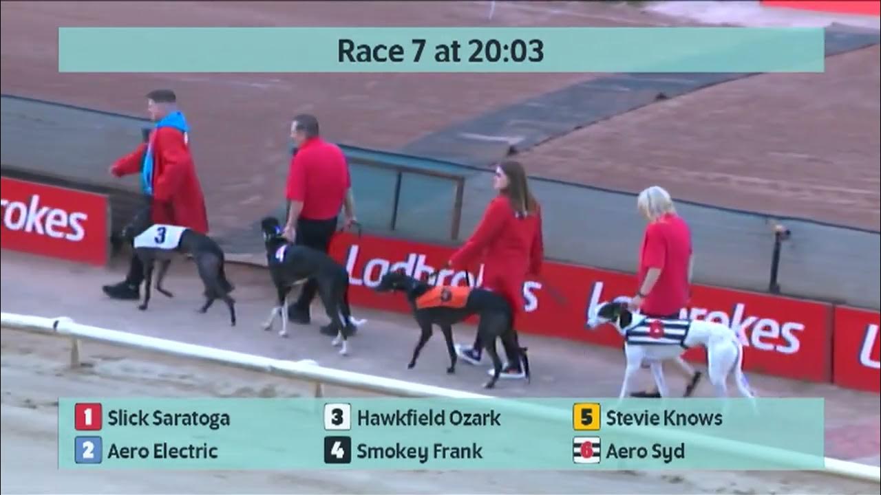 Monmore Greyhounds Races on 12th August 2023 - YouTube Monmore Greyhounds Races on 12th August 2023 - YouTube