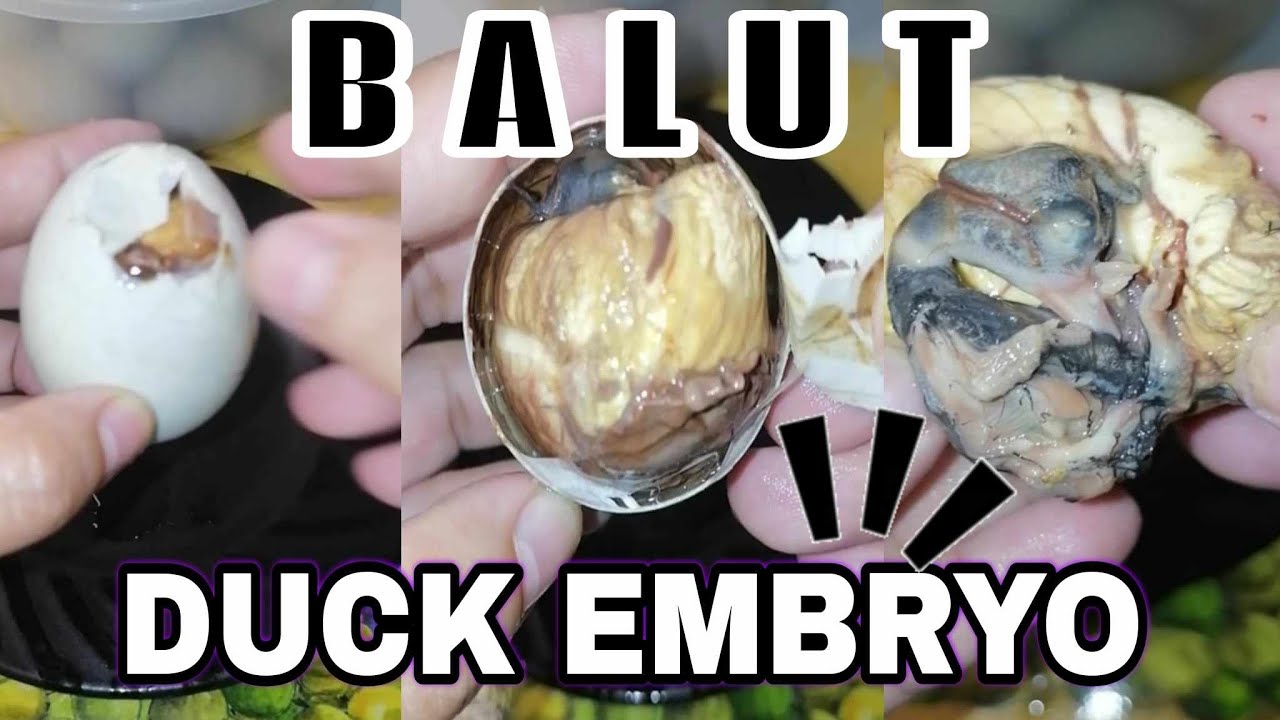 🔴ASMR Balut Duck Embryo EXOTIC DELICACY ep.61 - YouTube