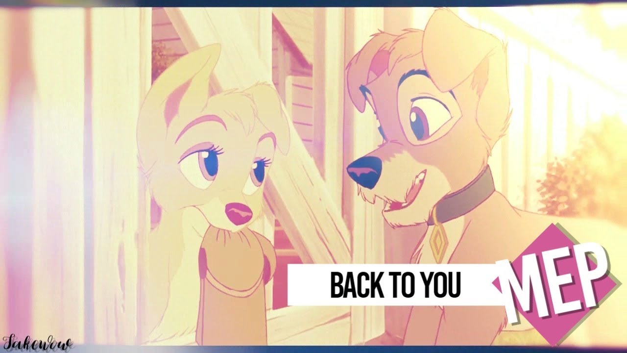 Animash | FULL MEP | Back To You - YouTube