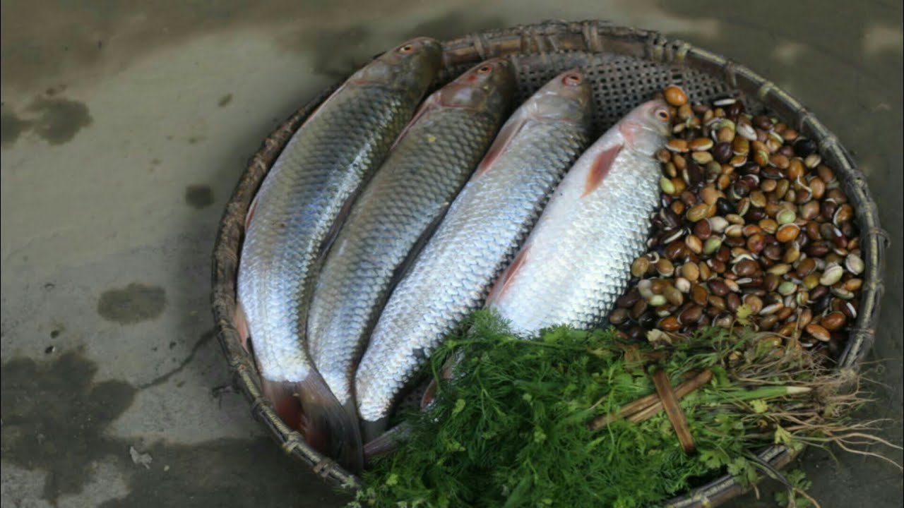 Village Style Mirka fish & bean beans recipe। sylheti Uri/shimer bichi ...