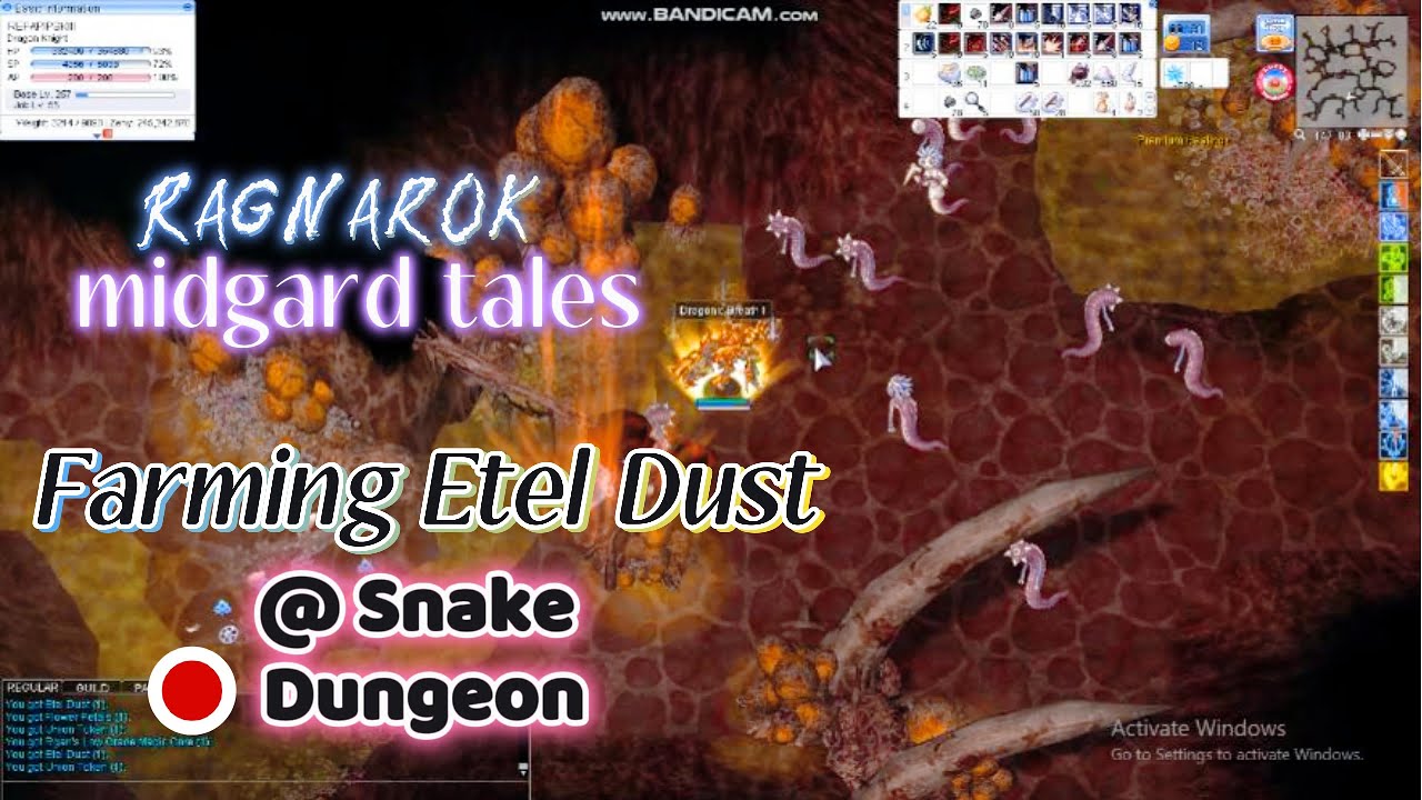 (Ragnarok Midgard Tales MidRate 4th Job) Dragon Knight Job Farming Etel ...