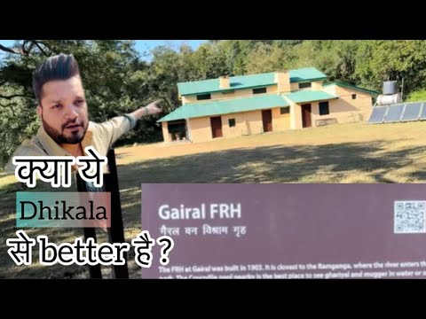 Gairal FRH | Jim Corbett | Dhikala Range#uttarakhand #tiger#wildlife # ...