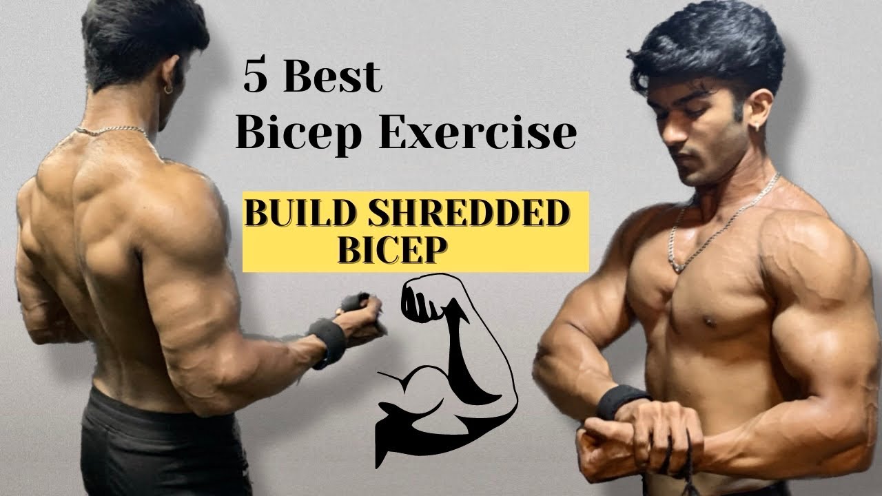 5 Bicep Exercise For Bigger Arms Aise Banenge Big Bicep Grow Bicep