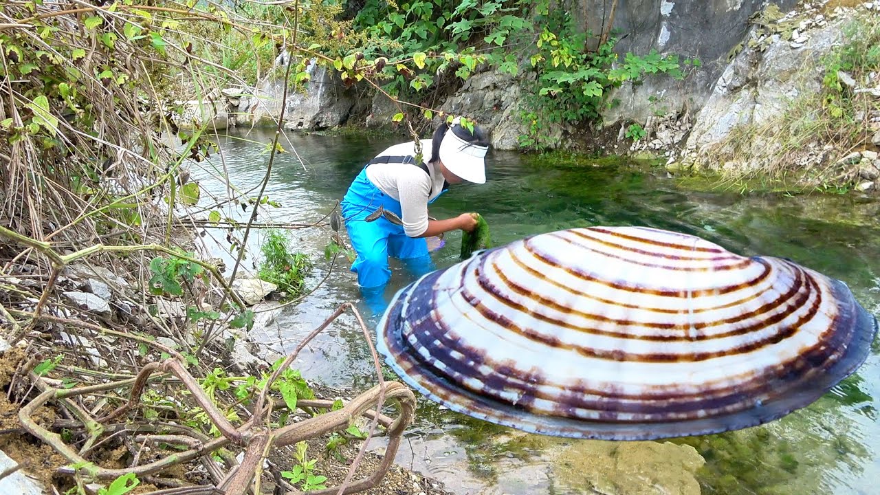 Extremely precious, the meeting between the girl and the clam found the ...