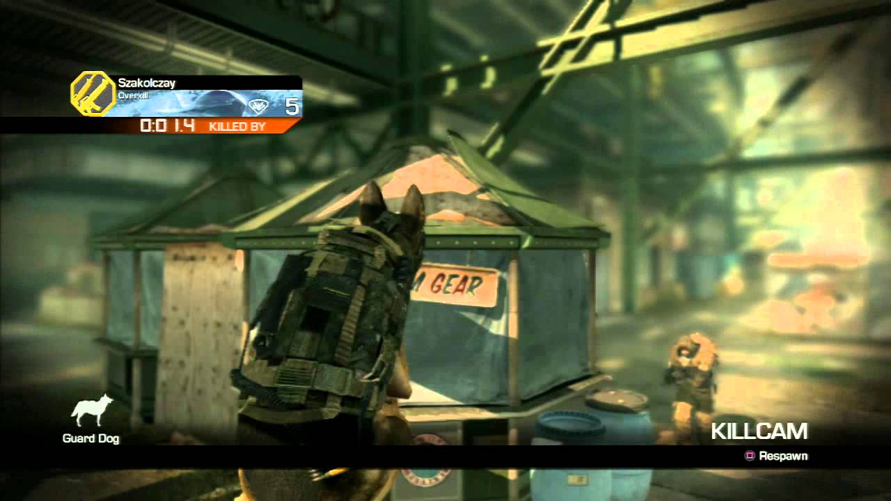 The flying ghost dog .... - YouTube