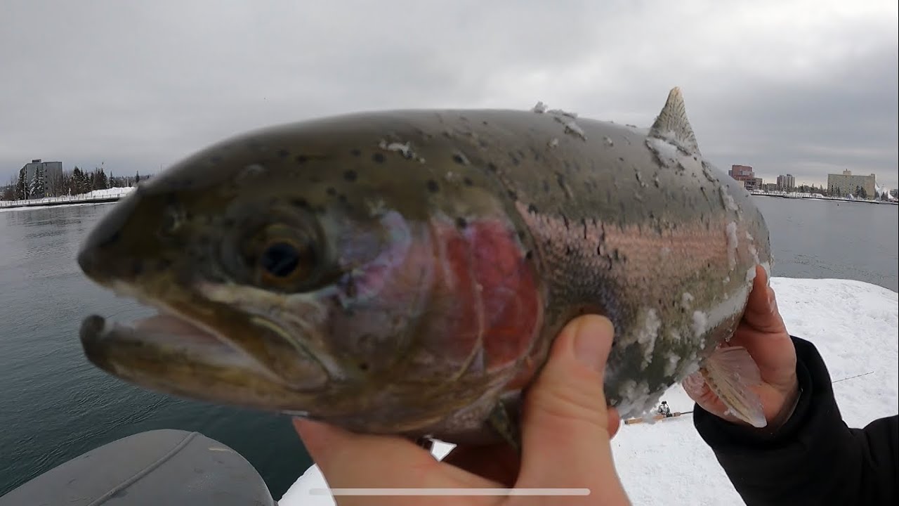 An EPIC BATTLE = EPIC FISH in this MASSIVE river… - YouTube