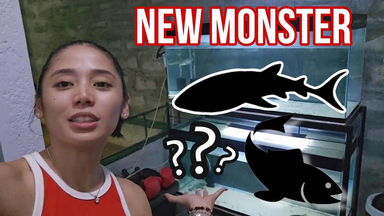 NEW MONSTER FISH FEEDING TIME - YouTube