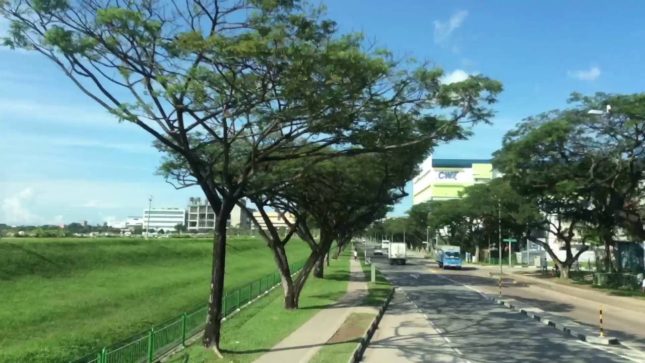 Tower transit service 79 Ex SBST SBS 3381G - YouTube