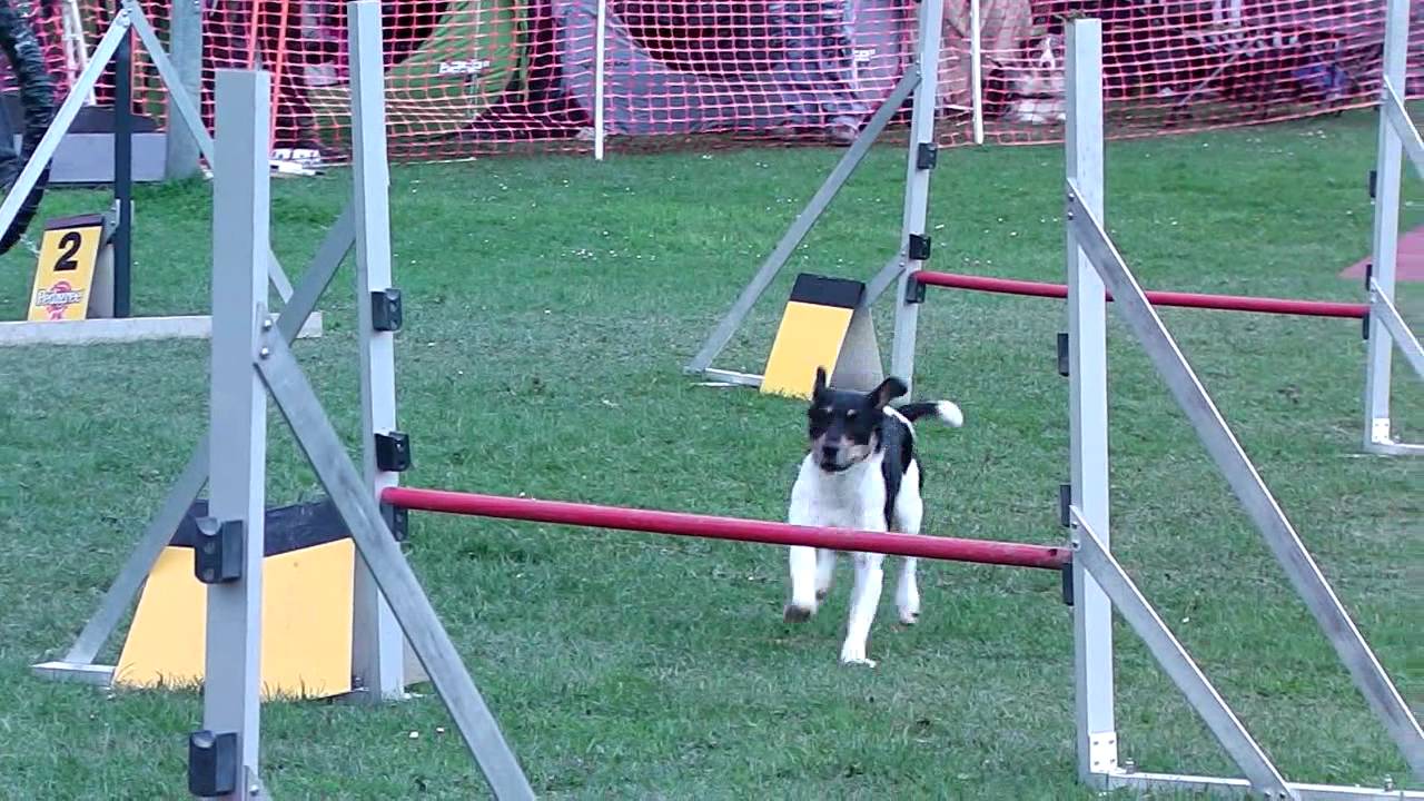 Remus und Sandra Hückelhoven 2012 A-Lauf - YouTube