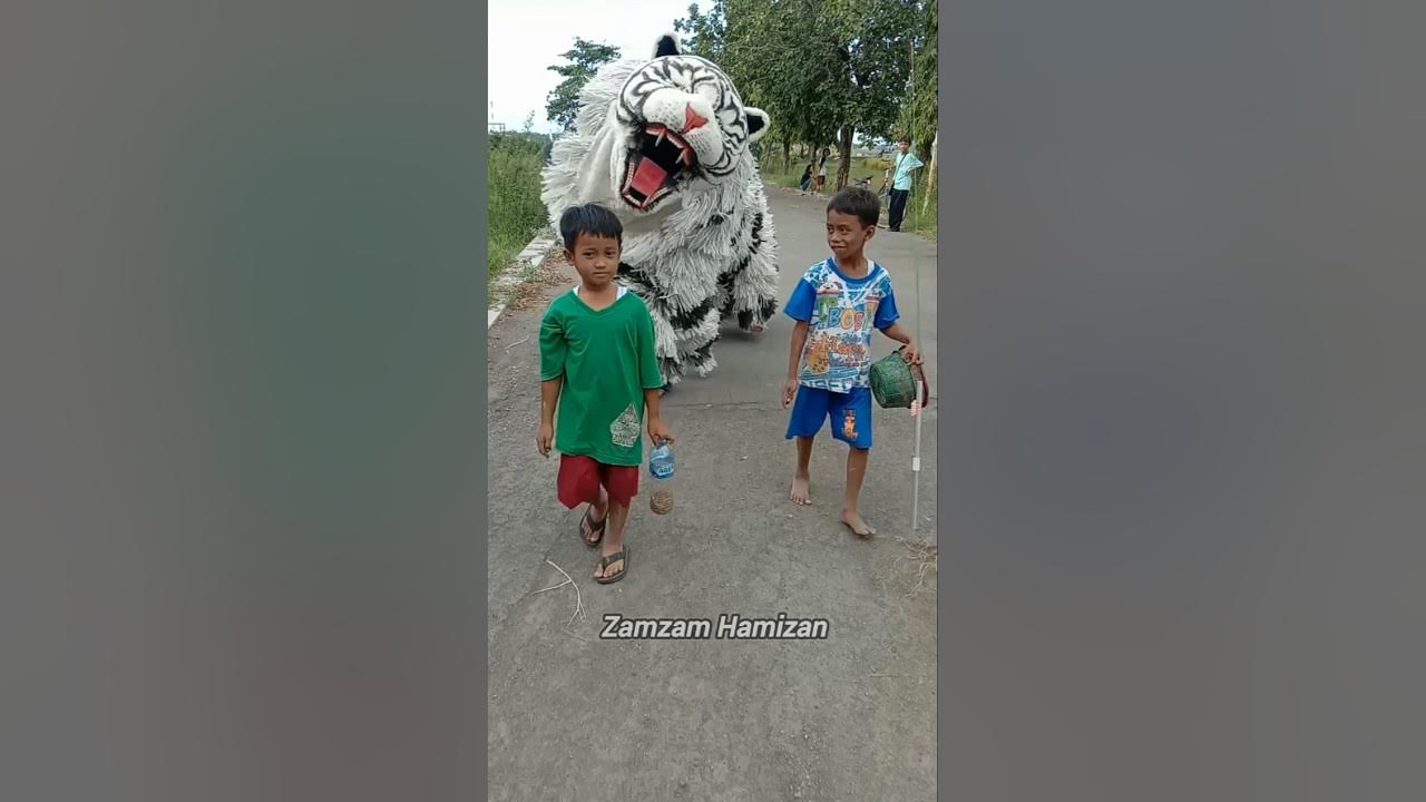 Detik detik Can Macanan Kejar Bocil FF Yang Baru Pulang Mancing - YouTube