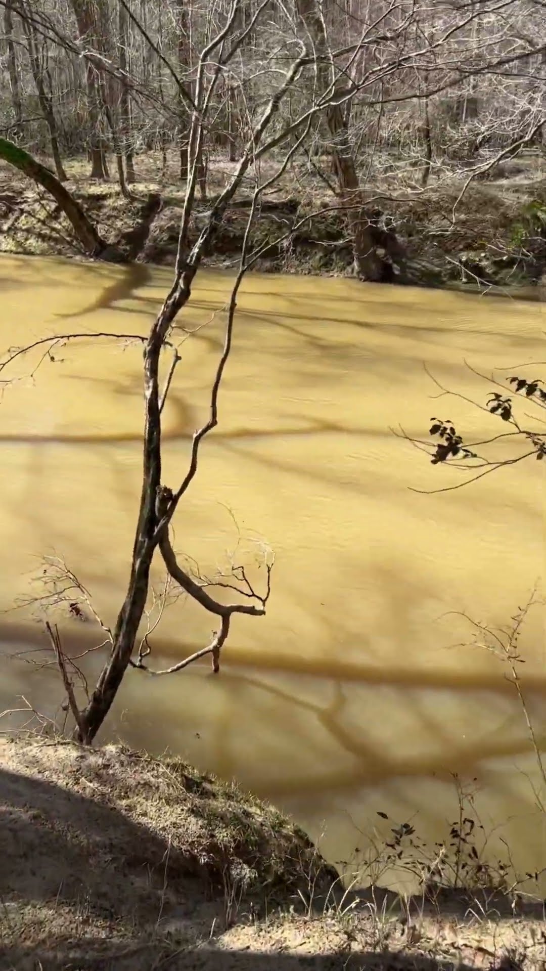 She is looking so tempting today, I just want to float down stream on ...