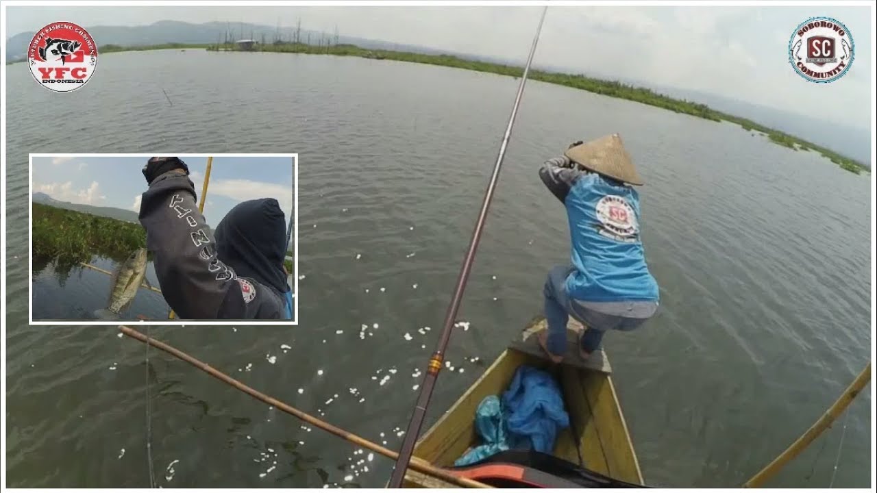 Sambaran ikan nila monster senar sampai putus - YouTube