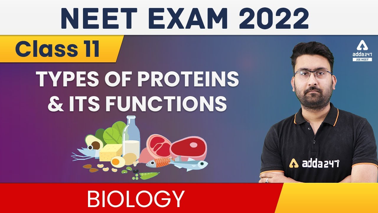Types Of Proteins & its Functions | Class 11 Biology | Biomolecules ...