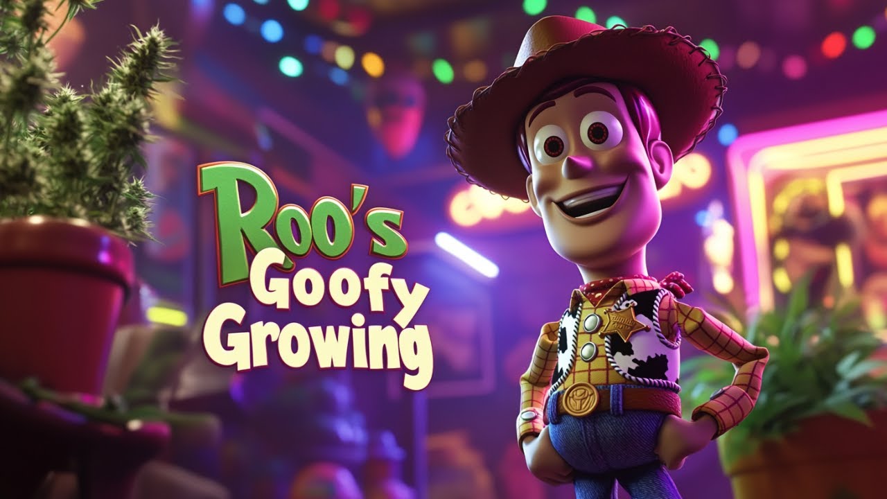 El Goofy Grow Along #15 : Germinating Frosted Biscotti - YouTube