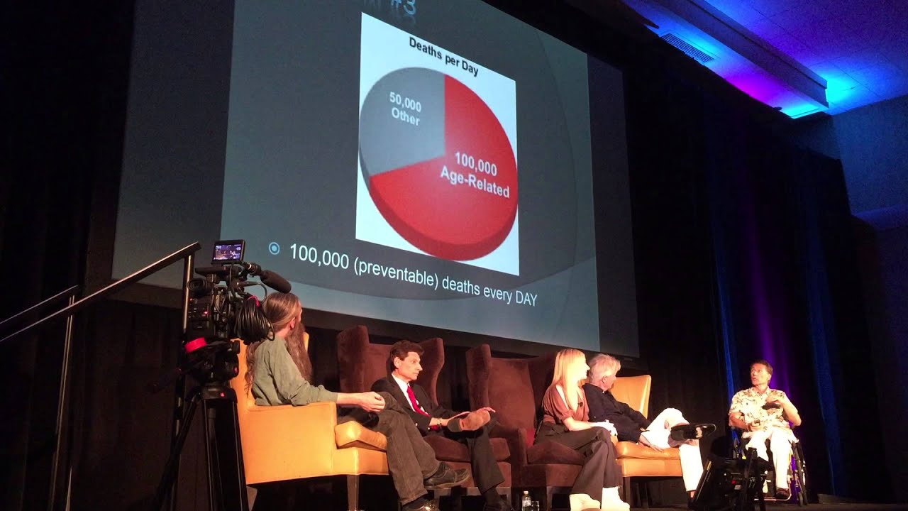 David Kekich on AI and longevity at Brink2015 - YouTube