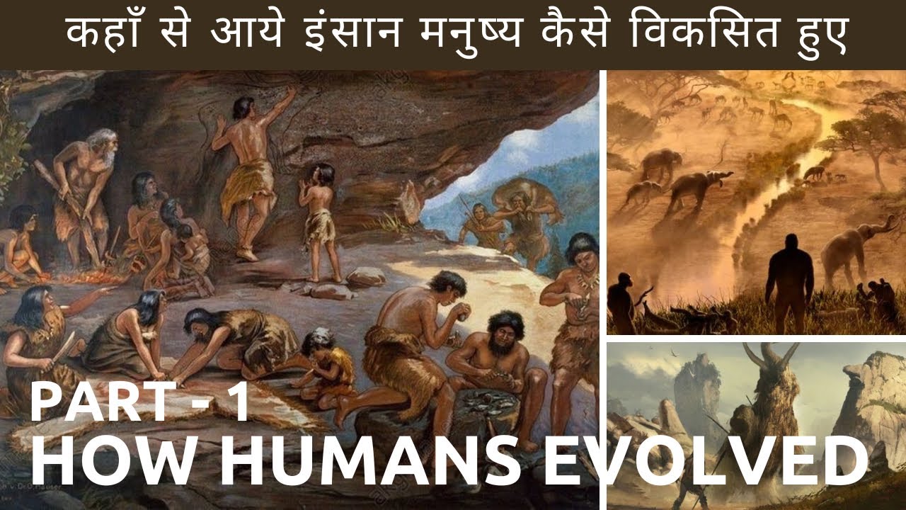 Theory of Evolution | How Humans Evolved | Ancient History - YouTube