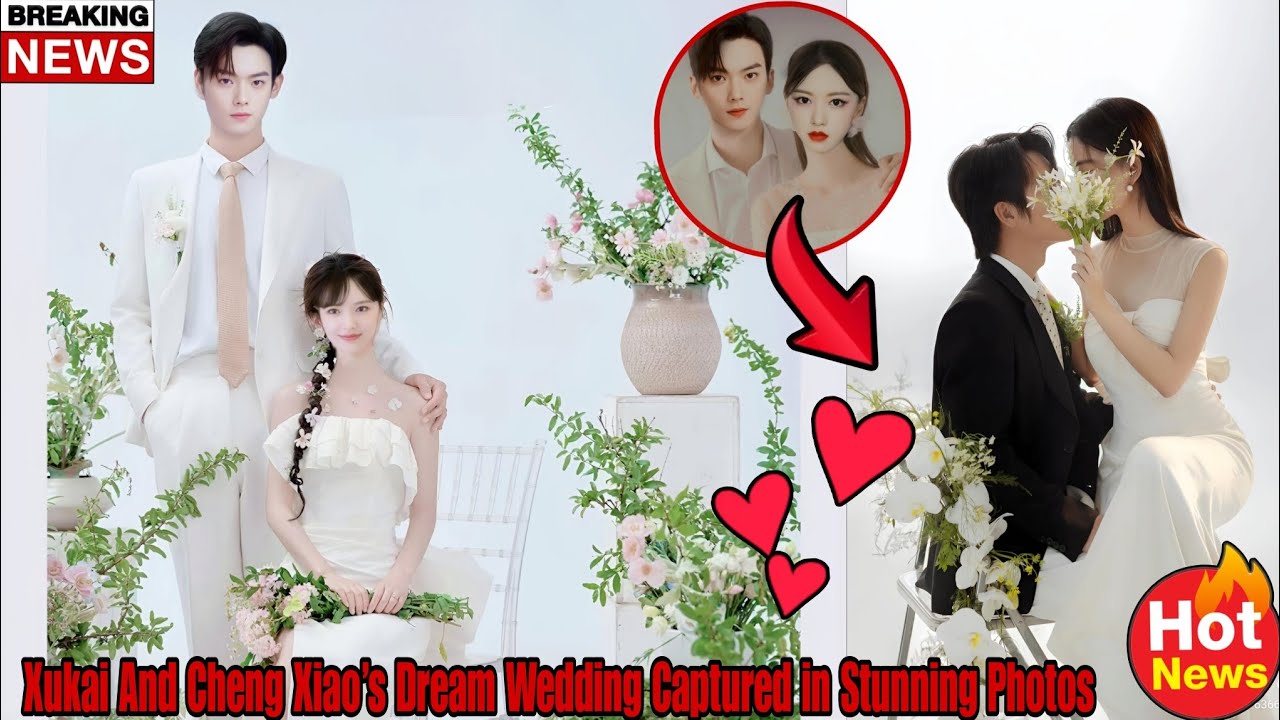 Xu Kai and Cheng Xiao’s Intimate Wedding Ceremony Goes Public.💍🔐😍 - YouTube
