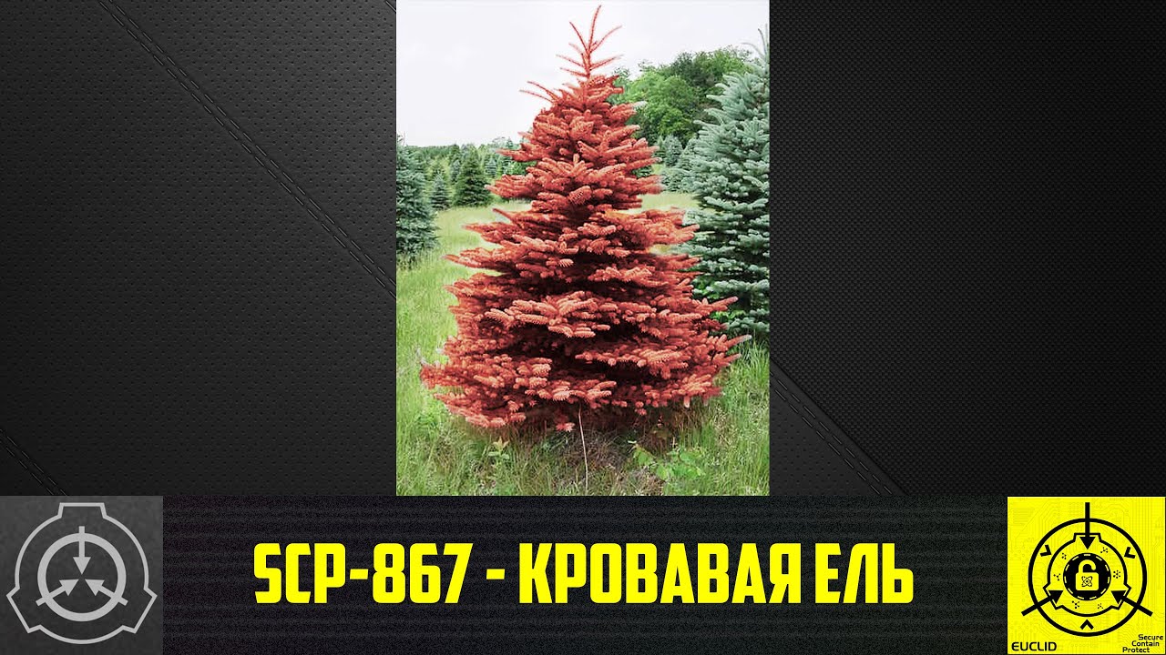 SCP-867 - Кровавая ель 【СТАРАЯ ОЗВУЧКА】 - YouTube