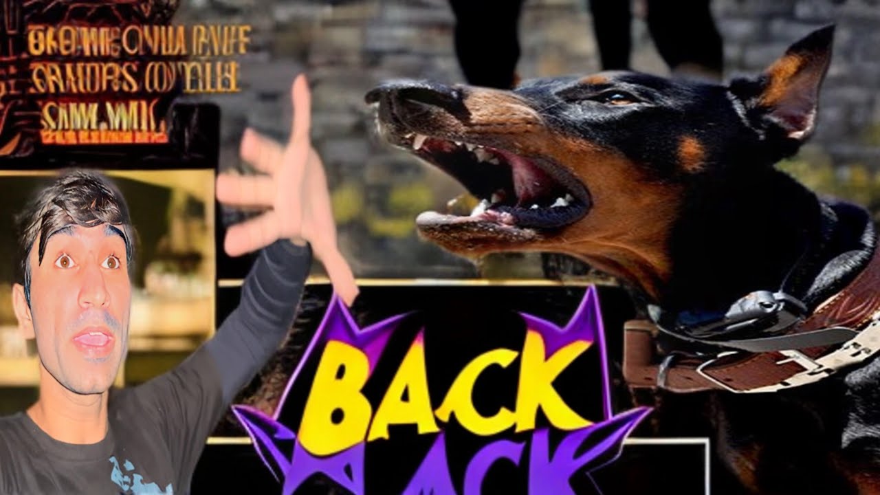 Man vs. Dog | Epic Battle Caught on Camera - YouTube