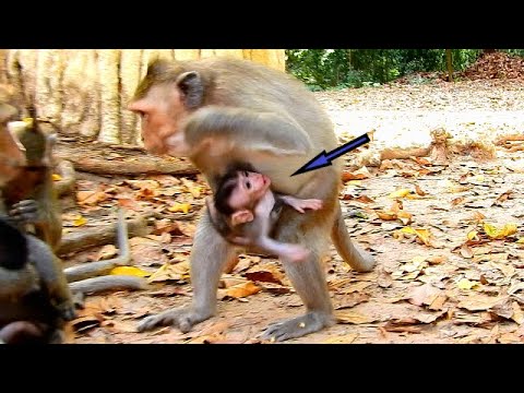 YOUNG MOM JULINA HOLDS BABY JASPER SO STRANGE, SHE SHOWS FUNNY ACT TO US WHILE SHE WALK